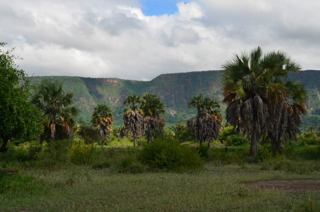 Selela Forest - Mto Wa Mbu Cultural Tourism